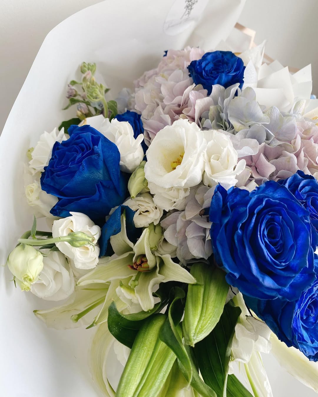 Blue Velvet Dreams – Scissors & Thorns